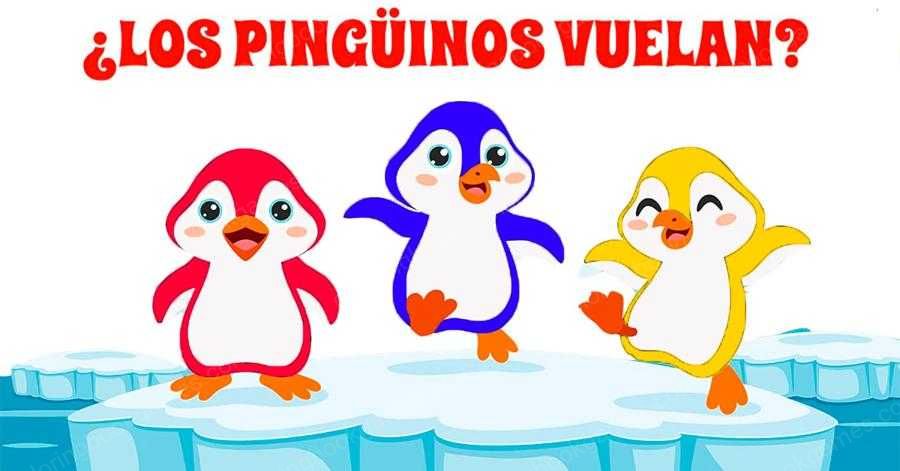 coloring book games - Hide and seek penguin